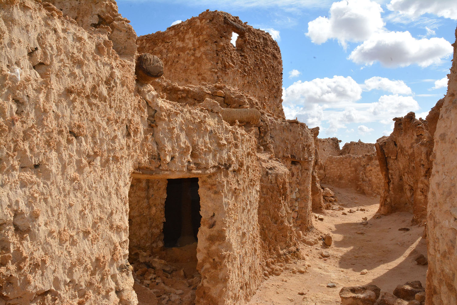 Qasr al-Gamil Al-Gara - Regions in Flux